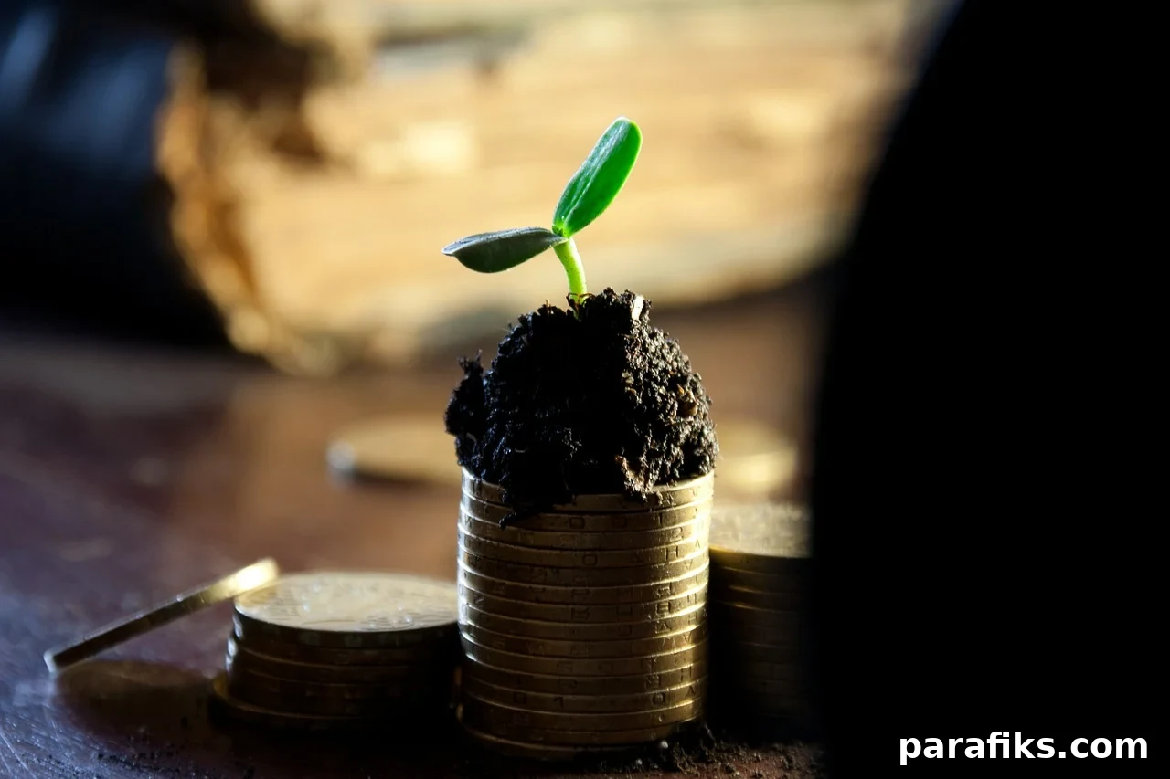Emergency Fund Guide: How to Build and Use Your Safety Savings - Parafiks